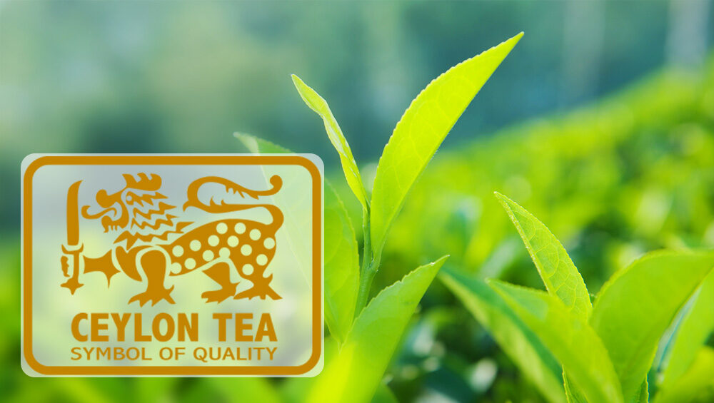 Story of Ceylon Tea Lion