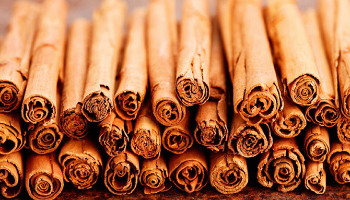 True Ceylon Cinnamon of Sri Lanka | History, Industry & Uniqueness