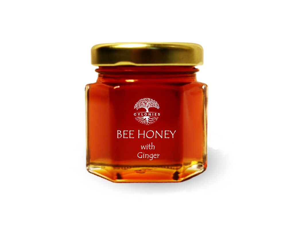 Buy Bee Honey with Ginger Flavor | Pure & Natural | Cylonies