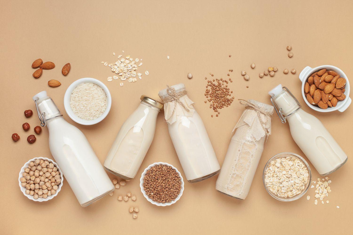 Plant-Based Milk Explained: Nutrition, Types & Dairy-Free Benefits