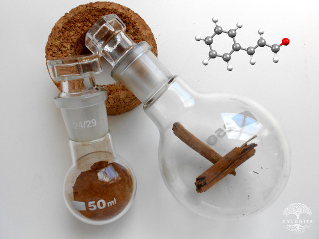 Key Component of Cinnamon Oil; Cinnamaldehyde