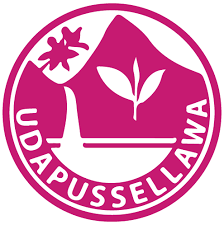 Sri Lanka's Diverse Tea Regions: A Flavorful Journey