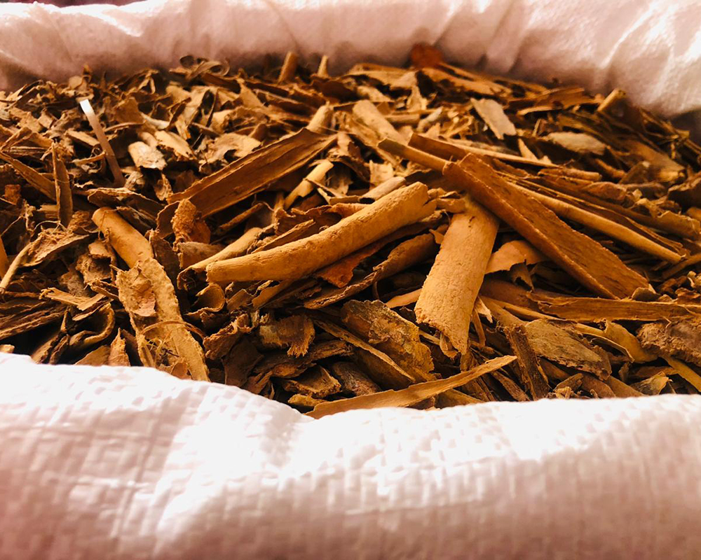 Buy Cinnamon Quillings | Cylonies