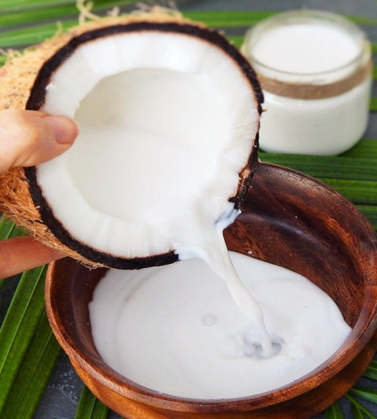 Coconut Milk 20% Fat - 400ml Can