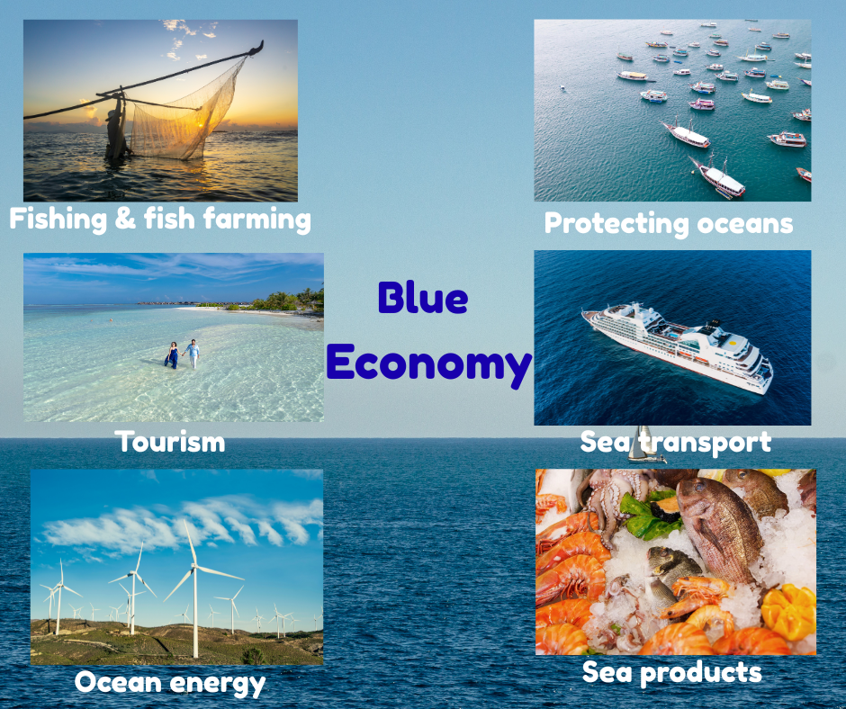 Blue Agriculture: The Next Frontier in Food Production